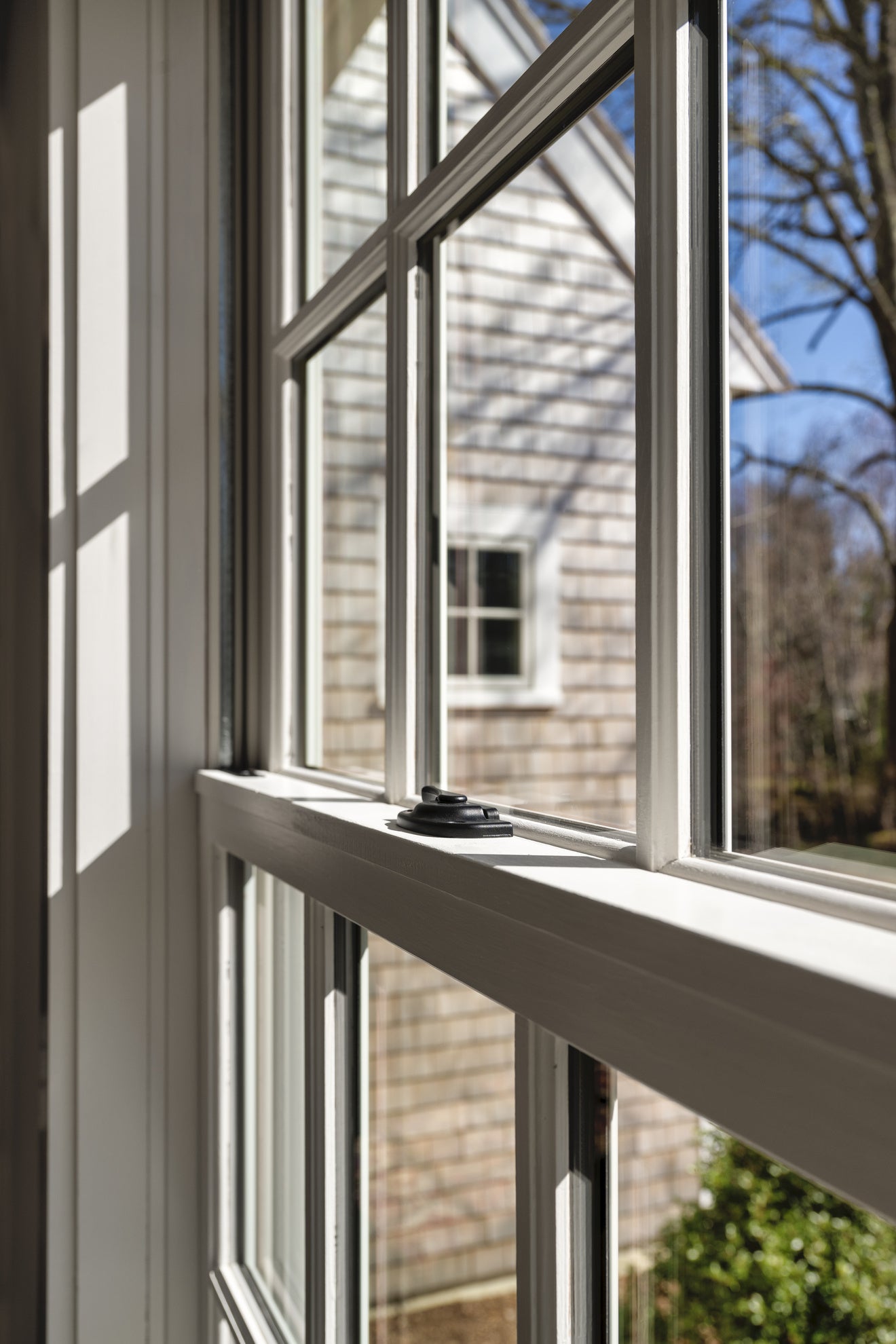 MARVIN Elevate Windows Double Hung CN38 37.5 wide Fiberglass Exterior ...